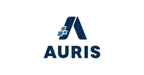 Page 2 | Auris Payroll Reviews 2026: Details, Pricing, & Features | G2