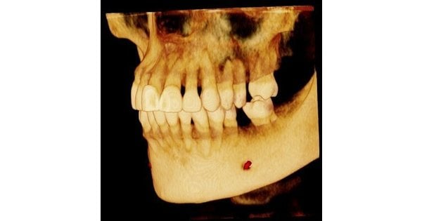 Tx Studio Reviews 2025: Details, Pricing, & Features | G2