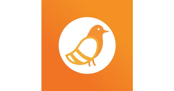 Pigeonhole Live Preise 2025