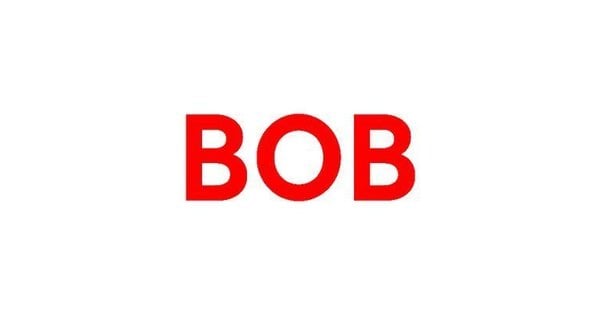BOB Pros and Cons | User Likes & Dislikes
