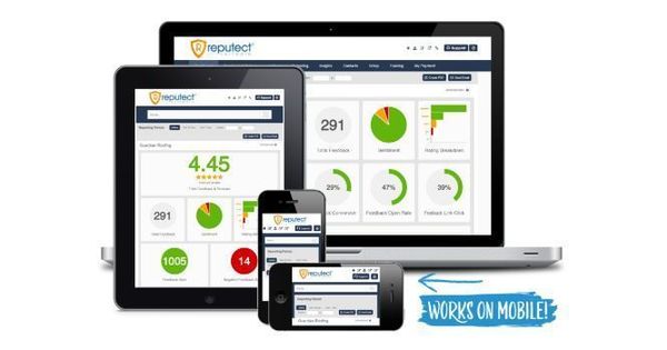 Review Dingo Pricing