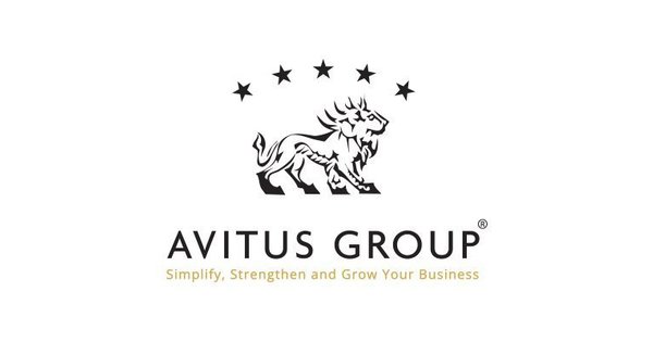 Avitus Group Reviews 2025: Details, Pricing, & Features | G2