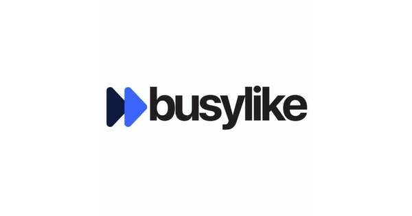 Busylike Reviews 2025: Details, Pricing, & Features | G2