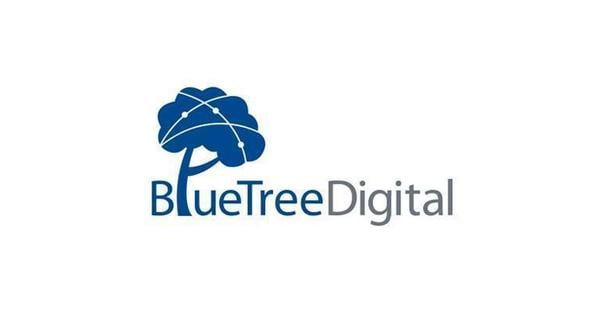 BlueTreeDigital Reviews 2025: Details, Pricing, & Features | G2