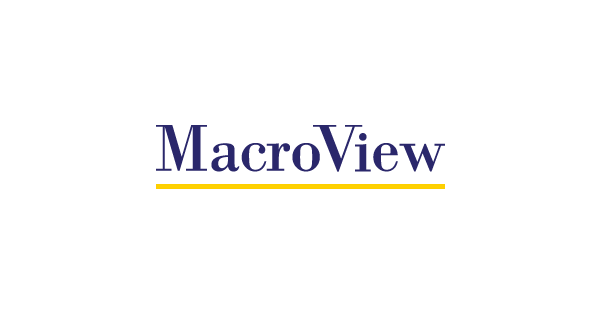 MacroView DMF Reviews 2025: Details, Pricing, & Features | G2