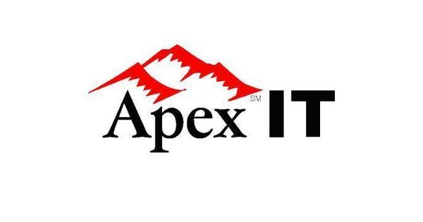 Apex IT Reviews 2025: Details, Pricing, & Features | G2