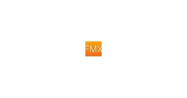 FMX Solutions Reviews 2025: Details, Pricing, & Features | G2
