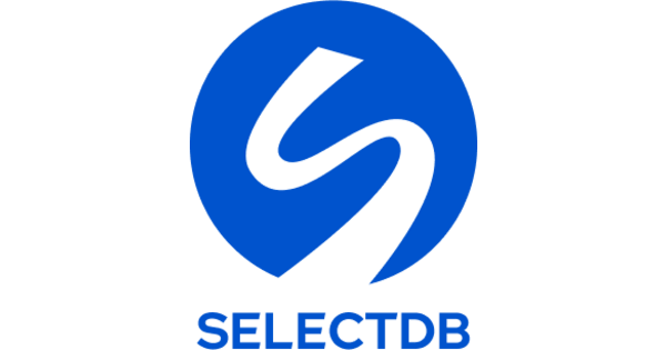 SelectDB Pricing 2025