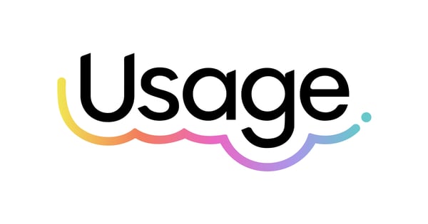 Usage AI Pricing 2025