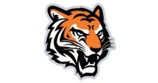 TigerTrade Reviews 2026: Details, Pricing, & Features | G2