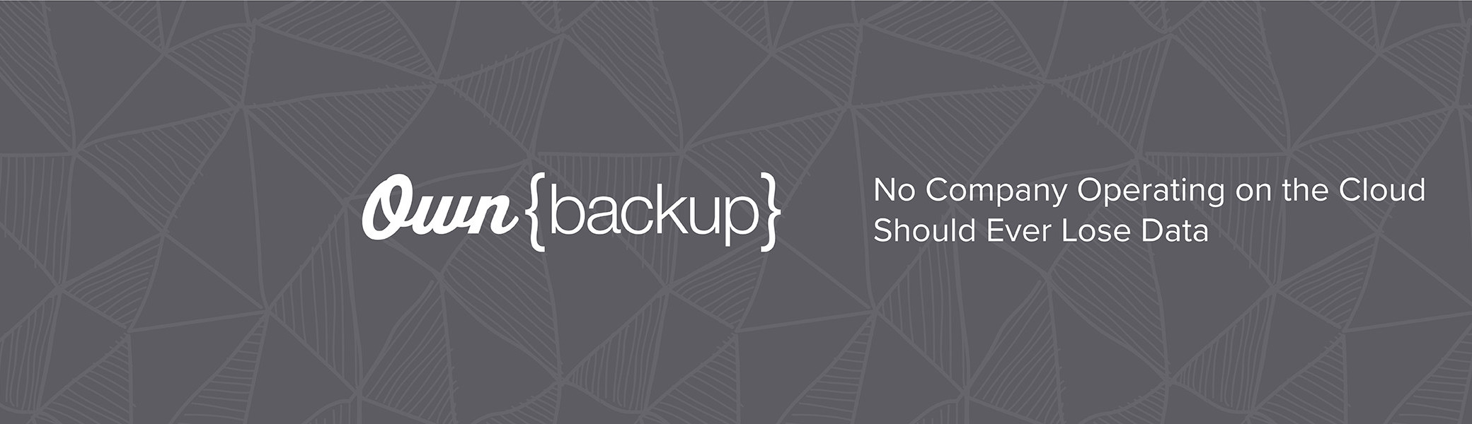OwnBackup Pricing 2020 | G2